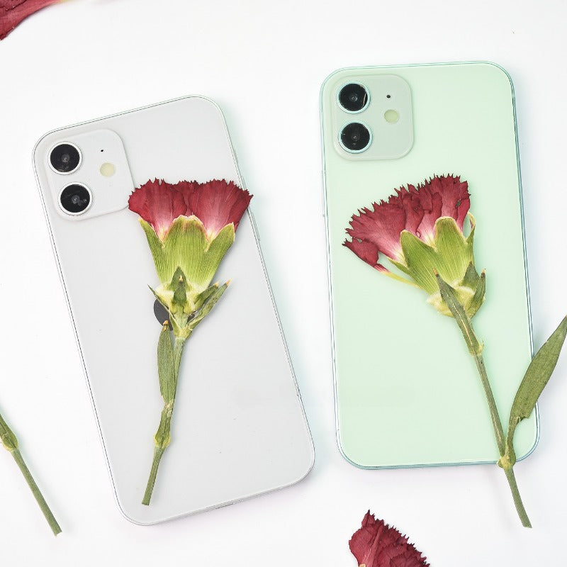 6 Pcs Dried Pressed Carnation Flower for Crafts – Floral Supplies Store