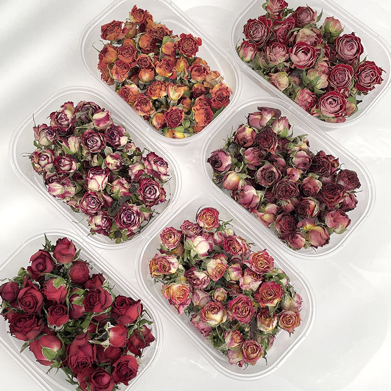 Real Dried Rose Heads for DIY Crafting – Floral Supplies Store