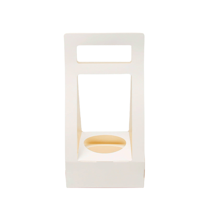 20pcs Mini Succulent Plant Packaging Gift Box – Floral Supplies Store