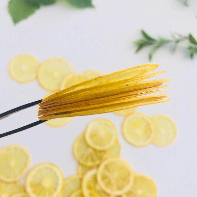 5 Pcs Dried Pressed Lemon Slices for DIY Crafts – Floral Supplies Store