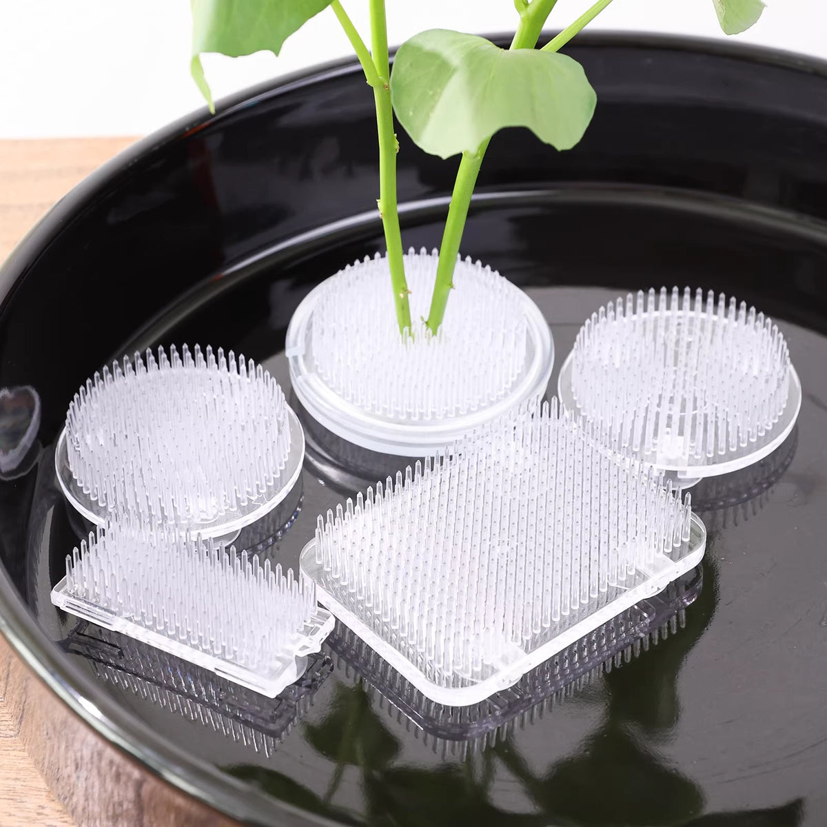 Plastic Flower Frog with Suction Cups – Floral Supplies Store