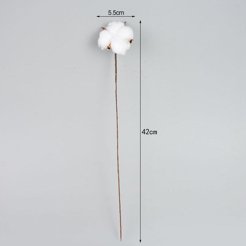 Decorative Real Dried Cotton Stems – Floral Supplies Store