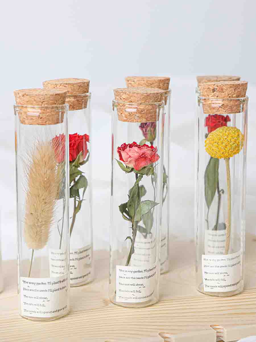 Dried Preserved Flower In Glass Test Tube – Floral Supplies Store